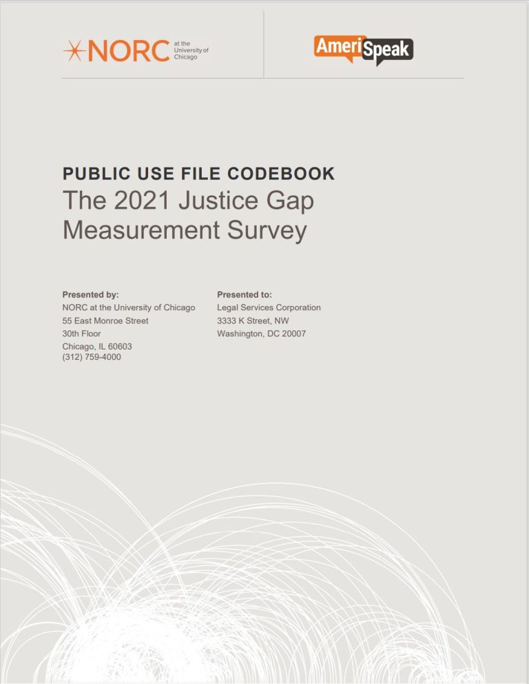 The 2021 Codebook and Data Files | The Justice Gap Report